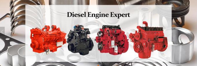 Cummins Diesel Engine Truck Parts Crankshaft Real Oil Seal 3973745