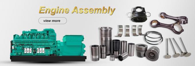 Cummins QSB Fuel Injection Pump 3965403 High Pressure Injection Pump VP30